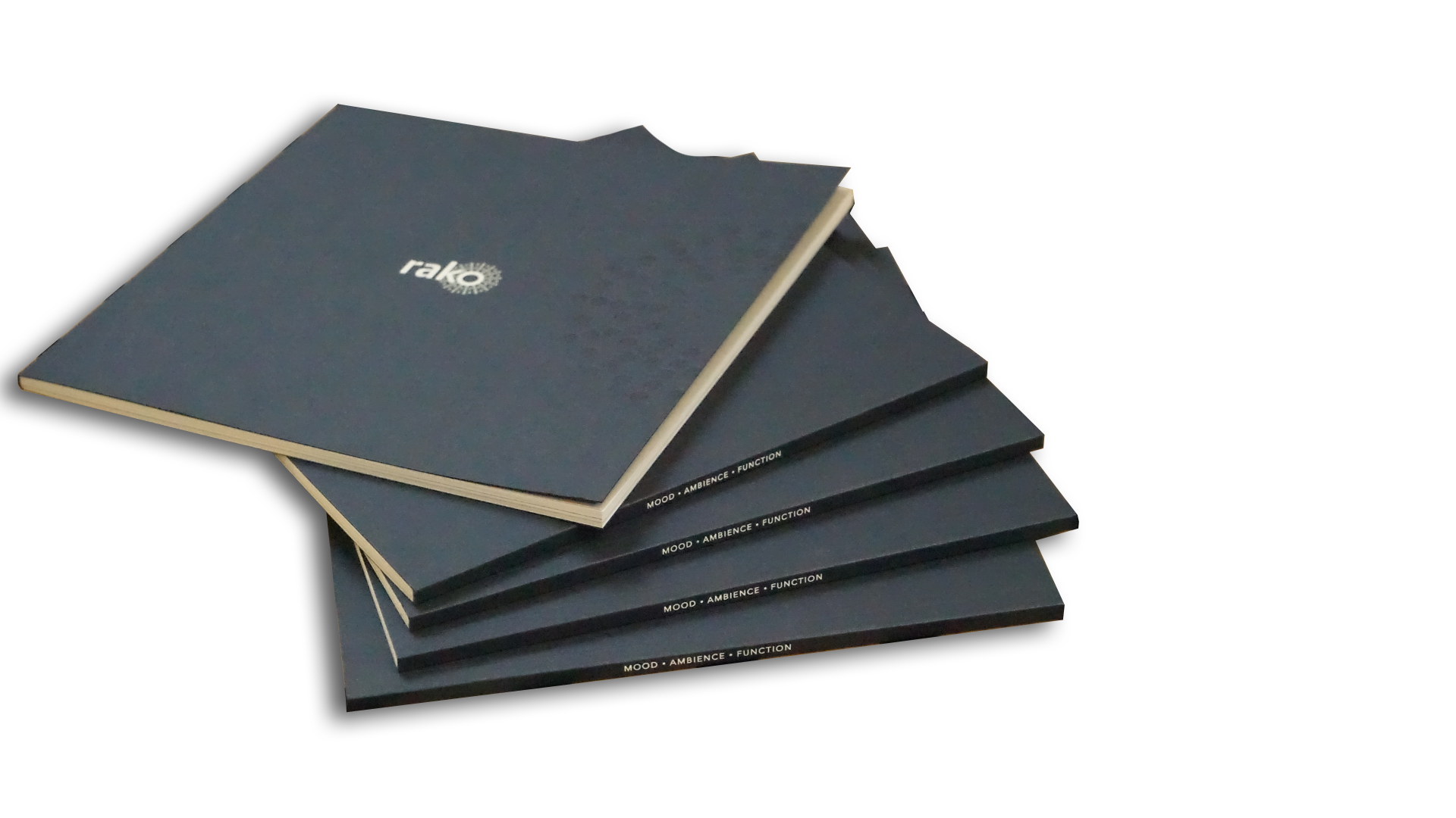 Lighting Control System | Rako Lighting Solutions